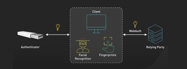 Fullstack Development